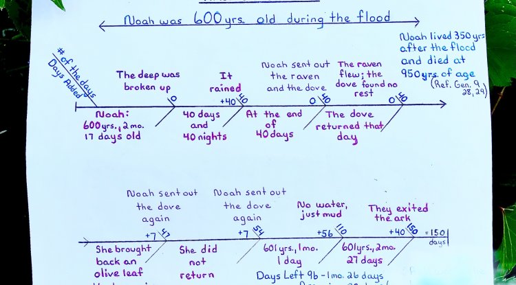 Teaching 1-3: Noah's Flood/Timeline/Conclusion - Done Picking Cotton